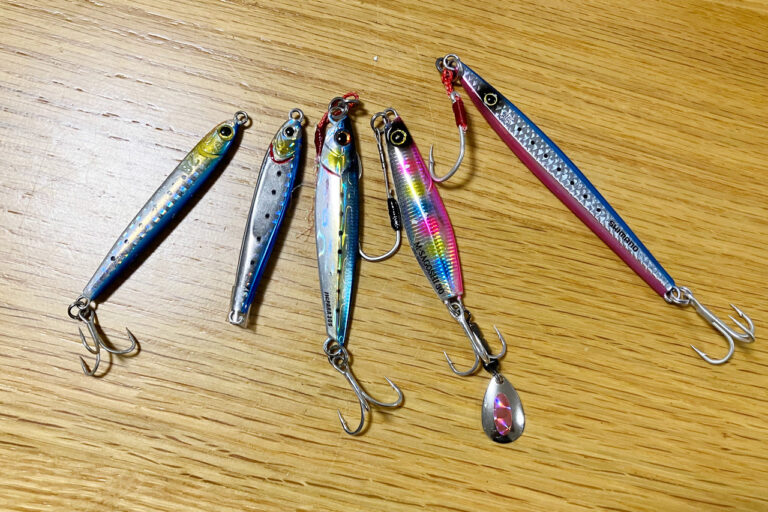 サゴシの釣り方を超丁寧に解説！ジグの使い方と効果的なアクションは